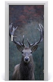 Fototapeta samolepící na dveře jelen příroda 85x205 cm