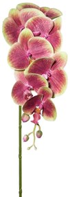Gasper Umělá orchidej 3D stvol, 87 cm