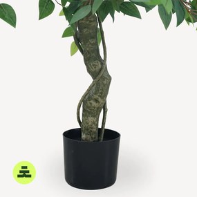 Umělý Ficus Vícepatrový 180 cm