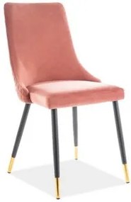 Casarredo Jídelní čalouněná židle NOPI velvet starorůžová/černá/zlatá