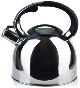 Kovová čajová konvice Sten Silver 2,5l