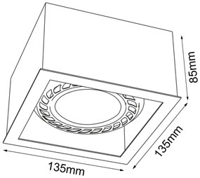 Brosline 1272 - Bodové svítidlo CAGE 1xGU10/18W/230V bílá