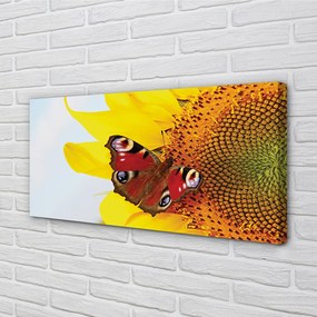 Obrazy na plátně slunečnice motýl 120x60 cm