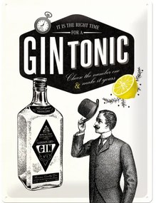 Postershop Plechová cedule: Gin Tonic - 30x40 cm