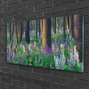 Obraz na skle Les Květiny Příroda 100x50 cm