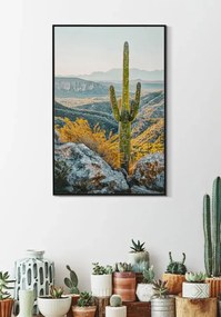 Obraz Cactus B 60x90 cm vícebarevný