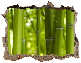 Wallmuralia Samolepící nálepka fototapeta Bambus 95x64 cm