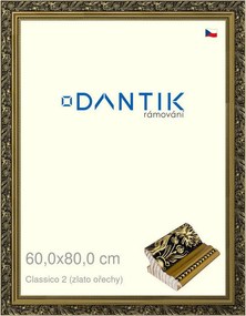 DANTIK rámeček 60x80 | Claico 2 (zlato ořechy) (Plexi Čiré)