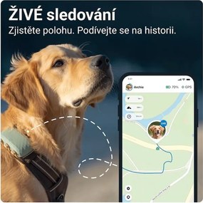 Tractive GPS DOG XL tracker polohy a aktivity pro psy zelený