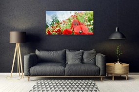 akrylový obraz Květiny Příroda 100x50 cm