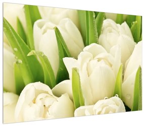 Obraz květů tulipánů (100x70 cm)