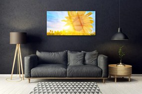 akrylový obraz Slunečnice Květ Slunce 100x50 cm