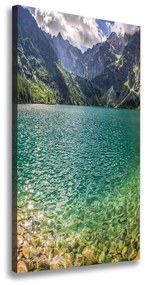 Wallmuralia Vertikální Foto obraz na plátně Jezero v horách 50x100