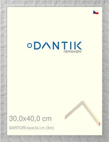 DANTIK rámeček 30x40 | SARTORI kost.bí.l.m (Plexi Čiré)