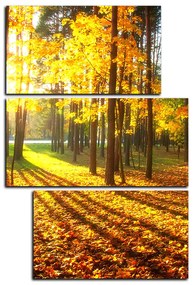 Obraz na plátně - Podzimní les - obdélník 7176D (105x70 cm)