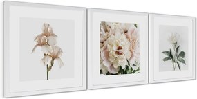 Tištěné obrazy v sadě 3 ks s rámem 30x30 cm Posy – Styler