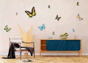 Samolepka na zeď Variace Barevných Motýlů | 65 x 85 cm | DF1069