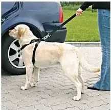 TRIXIE 1291 Postroj do auta pro psa M 50-70cm