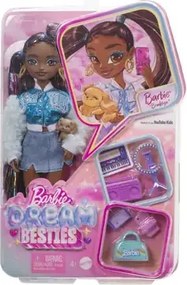 Mattel Barbie dream besties panenka - brooklyn / od 3 let