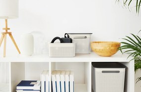 Rotho Úložný box s víkem a s madly BRISEN 16l, 36x26,2x21cm, bílý