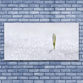 Plexisklo-obraz Sněženka Sníh Zima 120x60 cm