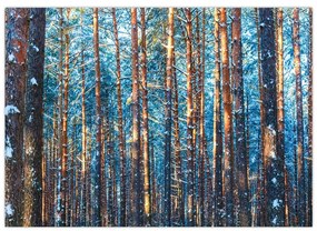 Obraz - Zimní les (70x50 cm)