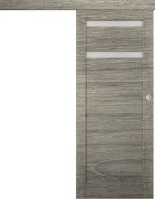 posuvné interiérové dveře na stěnu vasco doors EVORA model 2 Průchozí rozměr: 70 x 197 cm, Orientace dveří: Levé dveře, Dekor: Dub stříbrný