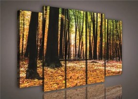 Obraz na plátně podzimní les 150 x 100 cm
