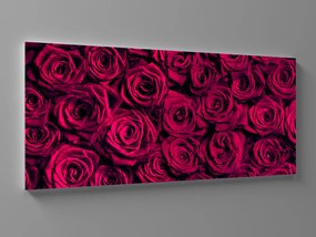 Liox Obraz červené růže Rozměr: 120 x 55 cm