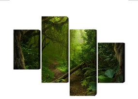 Vícedílný obraz Cesta V Tropickém Lese Nedostatek Nedostatek Plátno Canvas 80x50