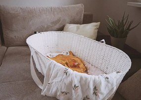 Ahojbaby Mojžíšův košík pro miminko Paper Dream white + matrace Basic