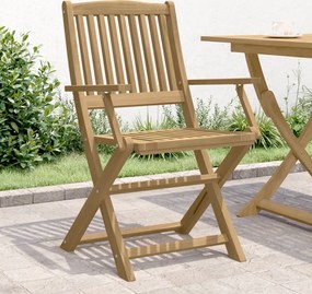 vidaXL Skládací zahradní židle 4 ks 57,5 x 54,5 x 90 cm masivní akácie [365742]