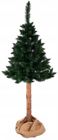 Neobvyklá vánoční himálajská borovice na pařezu 220 cm