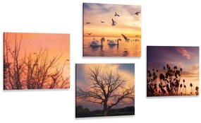 Set obrazů okouzlující příroda - 4x 60x60 cm