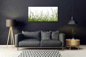 akrylový obraz Tráva Sedmikrásky Příroda 100x50 cm