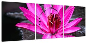 Obraz - růžový květ (s hodinami) (90x30 cm)