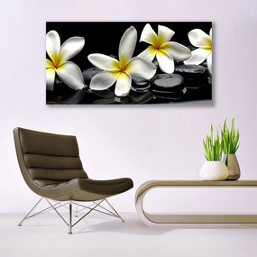 Plexisklo-obraz Kameny Květiny Lázně 120x60 cm