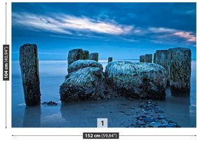 Fototapeta Baltské moře 104x70