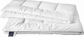 XXXLutz CELOROČNÍ PŘIKRÝVKA, 200/200 cm, polyester Billerbeck - Přikrývky - 003279063603