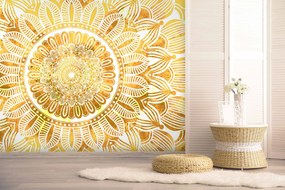 Malvis ® Tapeta mandala slunce Vel. (šířka x výška): 432 x 290 cm