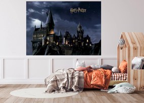 Dětská fototapeta na zed' Harry Potter Výhled na Bradavice | 252 x 182 cm | DFTDXL1965