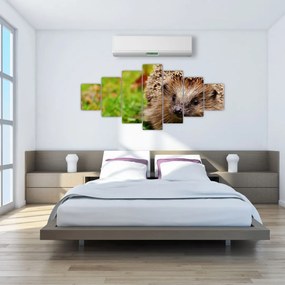 Obraz ježka (210x100 cm)
