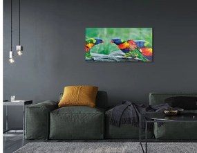 Obraz na skle Barevný papoušek stromu 140x70 cm