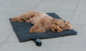 MiaCara Cestovní deka pro psy Cosmo Senso graphite (MiaCara Cestovní deka pro psy Cosmo Senso graphite)