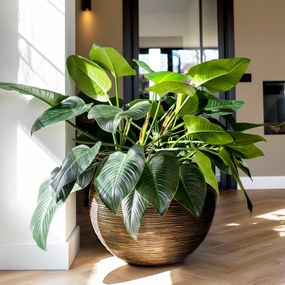 Capi Nature Rib Vase Ball Black Gold Ø 12 cm / V 10 cm
