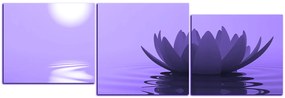 Obraz na plátně - Zen lotus - panoráma 5167VD (90x30 cm)