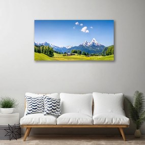 Obraz na plátně Pole Stromy Hory Krajina 140x70 cm