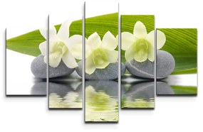 Sablio Obraz - 5-dílný Bílá orchidej - 125x90 cm