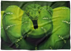 IMPAR Fleecová deka Zelený had 150x120 cm (Rozměr : 150 x 120 cm, Podšití beránkem: NE)