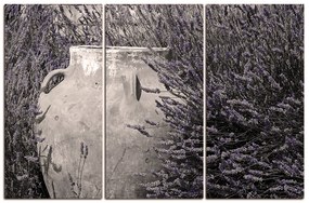 Obraz na plátně - Amfora v levandulovém keři 169FB (105x70 cm)